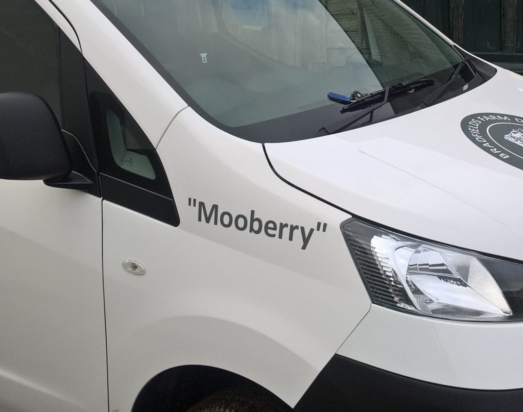 ‘Mooberry’ rides (for the first time) - Bradfields Farm Dairy